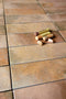Tavern Porcelain Tile Terracotta Dark 2x6 | Mineral Tiles